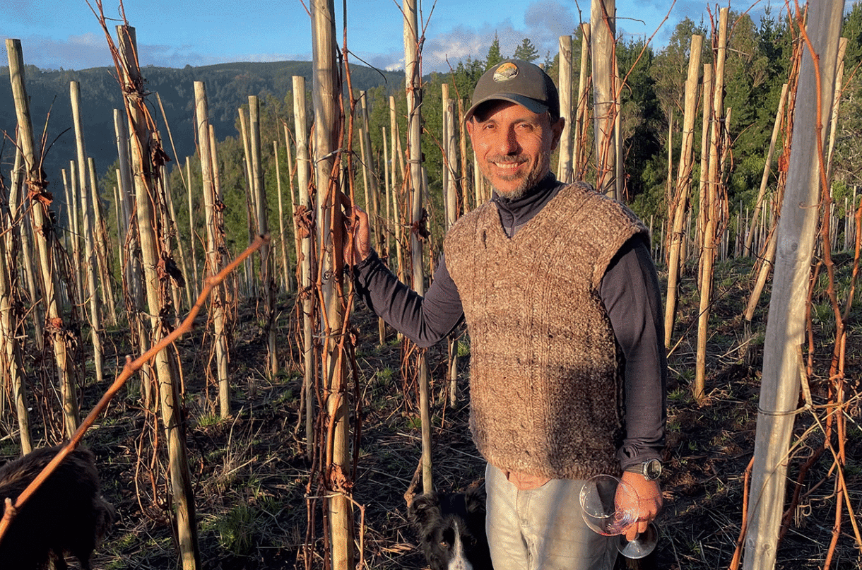Leo Erazo: Inspired by Itata and Chile's wild south - Decanter