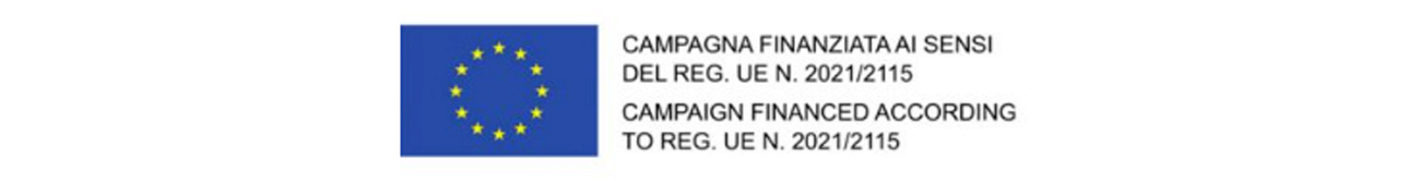 Florio – The historic name behind Sicily’s celebrated Marsala - Decanter