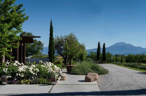 Ottella: Where winemaking meets art - Decanter