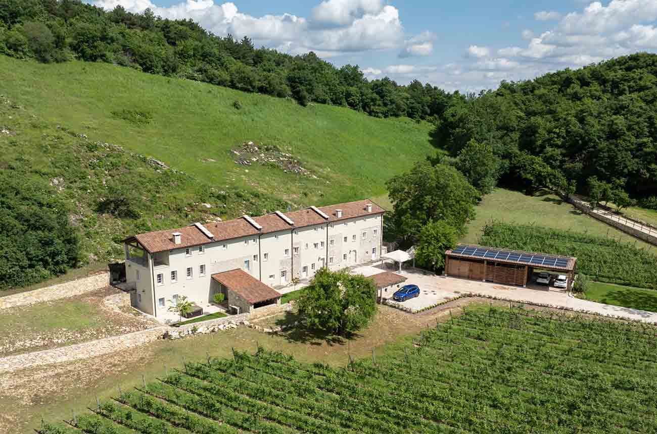 Poderi Campopian – The pride of Tinazzi - Decanter