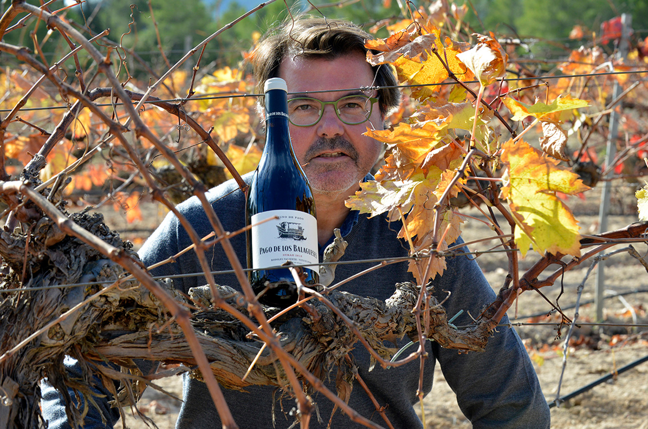 Vegalfaro – Creativity fuelled by pragmatism - Decanter