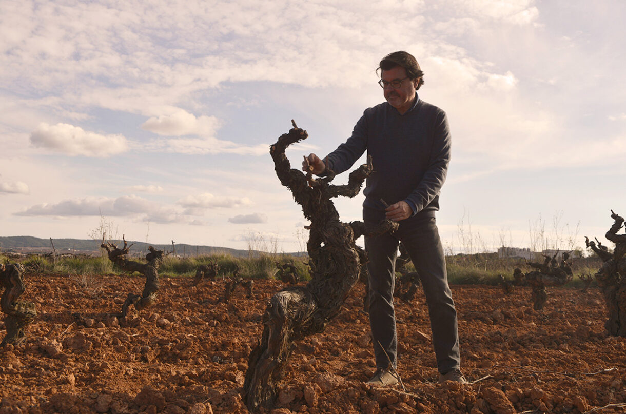 Vegalfaro – Creativity fuelled by pragmatism - Decanter