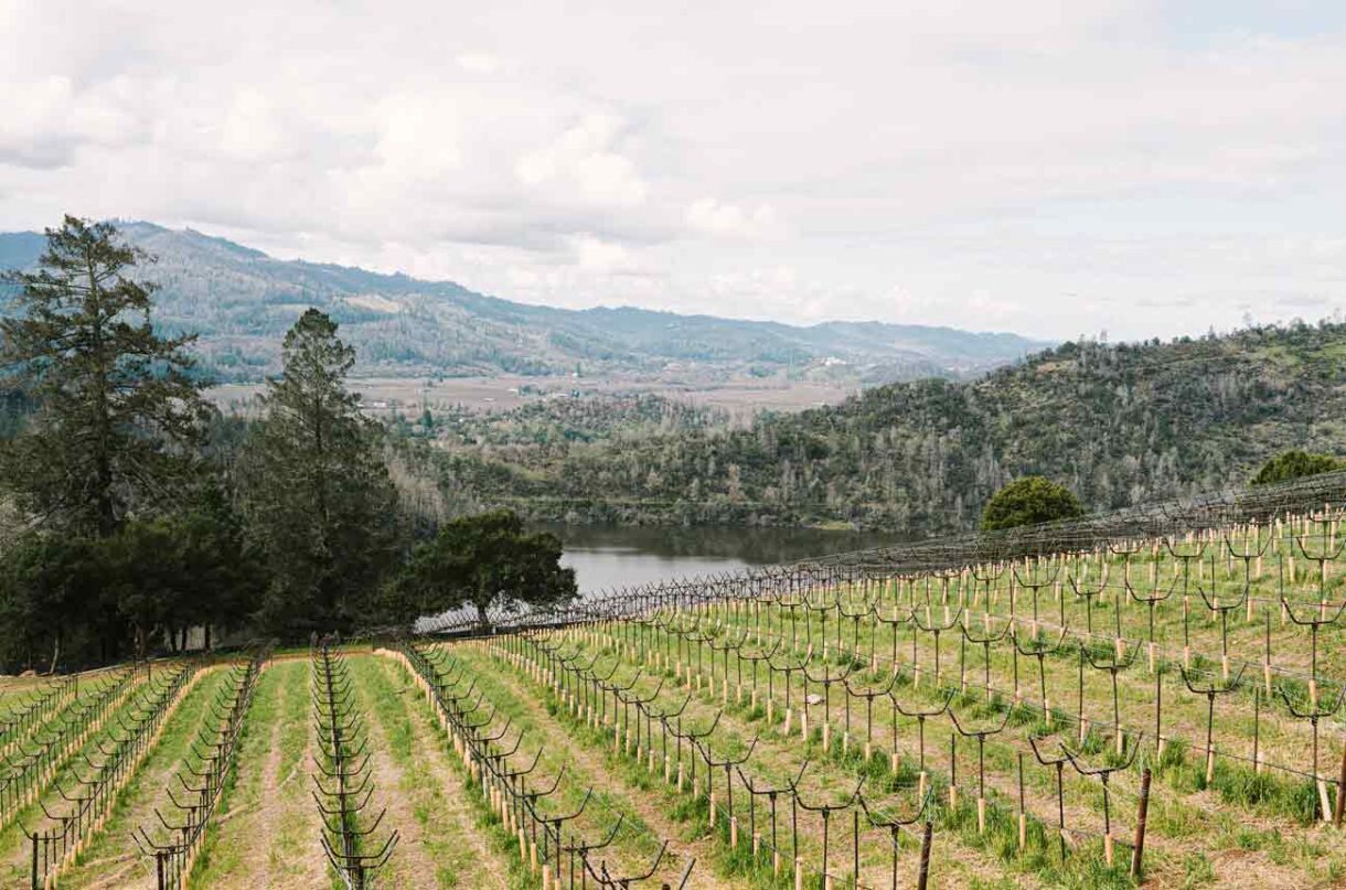 Napa's new Crystal Springs AVA approved - Decanter
