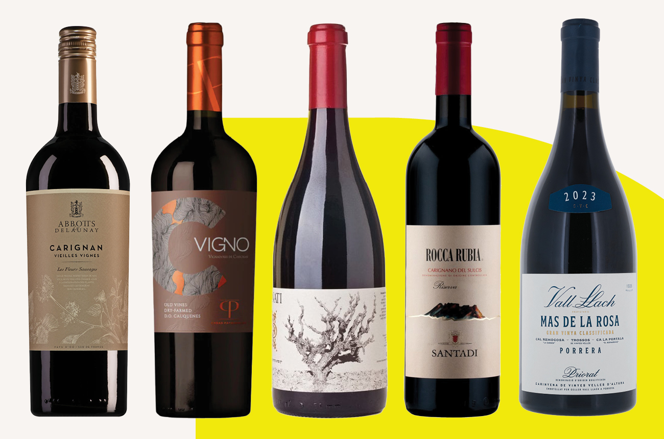 International Carignan Day: 14 awarded wines to celebrate with - Decanter