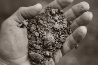 Cristaldi: Understanding the signature ‘Rutherford Dust’ and how to ...