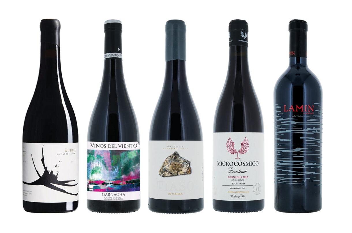 Aragón reds: Panel tasting results - Decanter