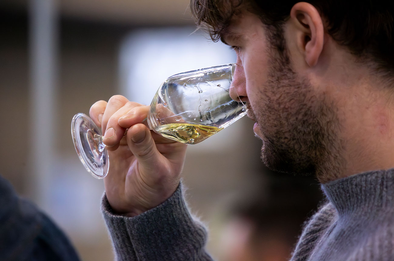 Millésime BIO 2025 – the world’s largest organic wine fair returns ...