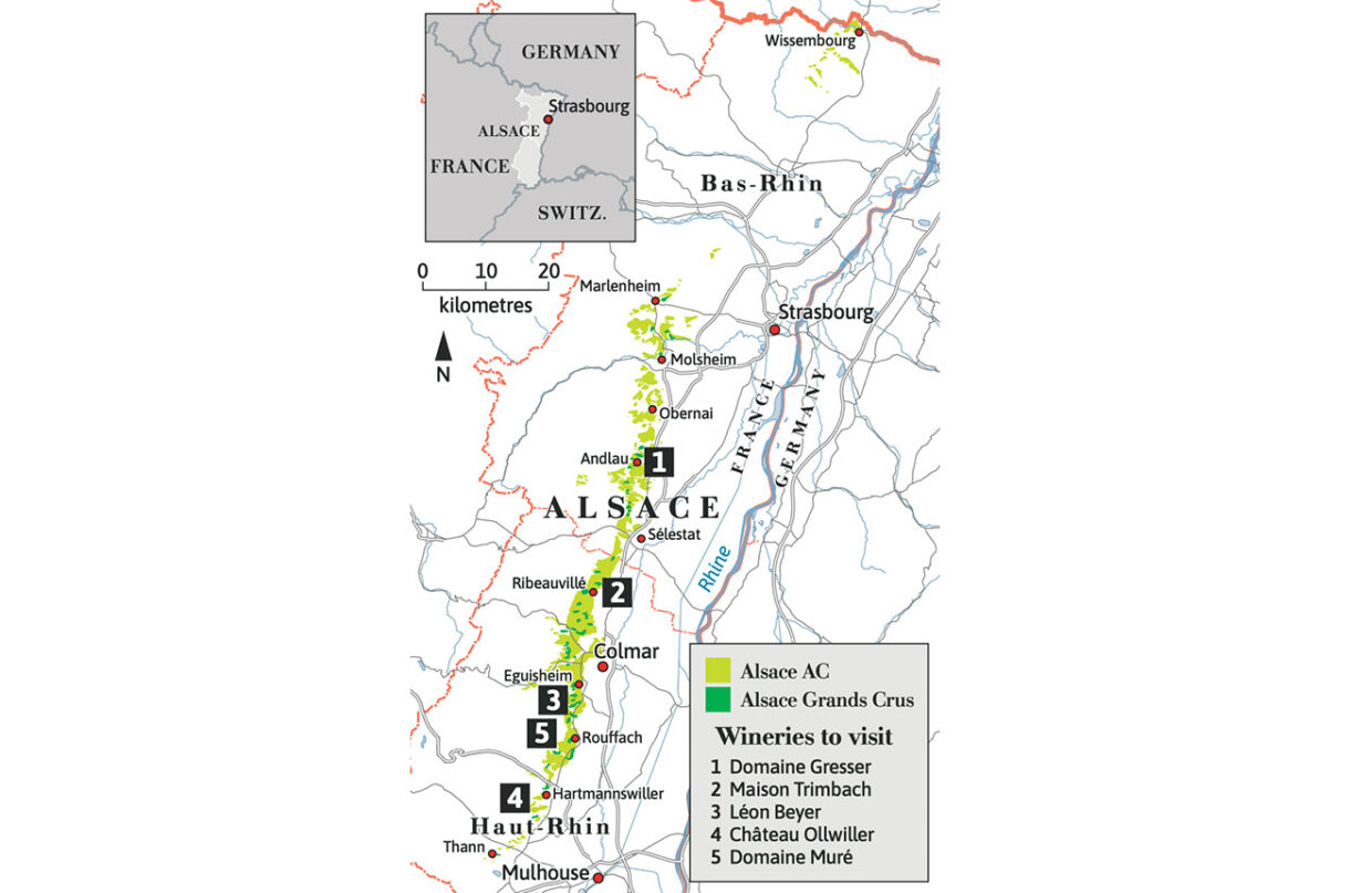 Wine lover’s guide to Alsace - Decanter