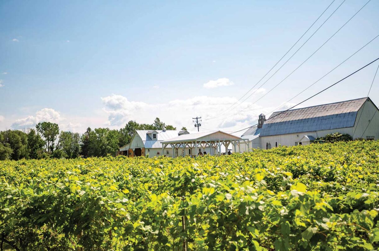 Explore the wine routes of Quebec - Decanter