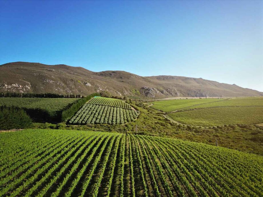 Winery tastings and tours: 14 top picks to discover - Decanter