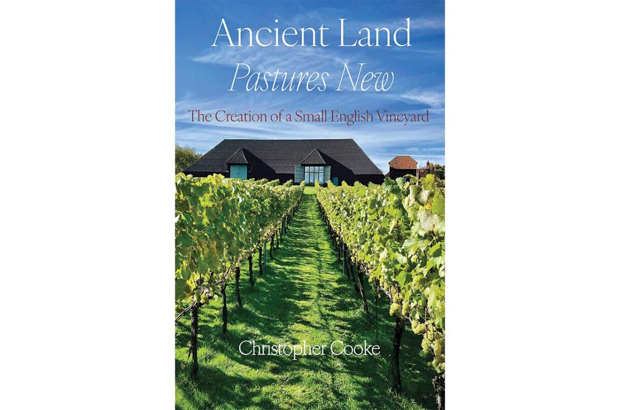 Books: Adventurous souls ‘living the dream’ - Decanter