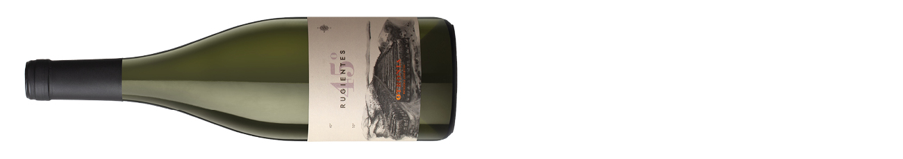 Argentina's rising stars: Exceptional wines beyond Malbec - Decanter