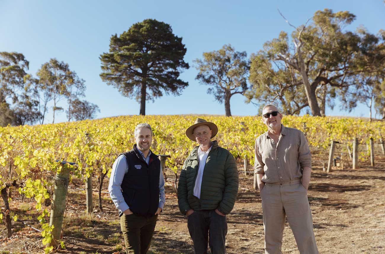 Wirra Wirra purchases Adelaide Hills producer Hahndorf Hill - Decanter