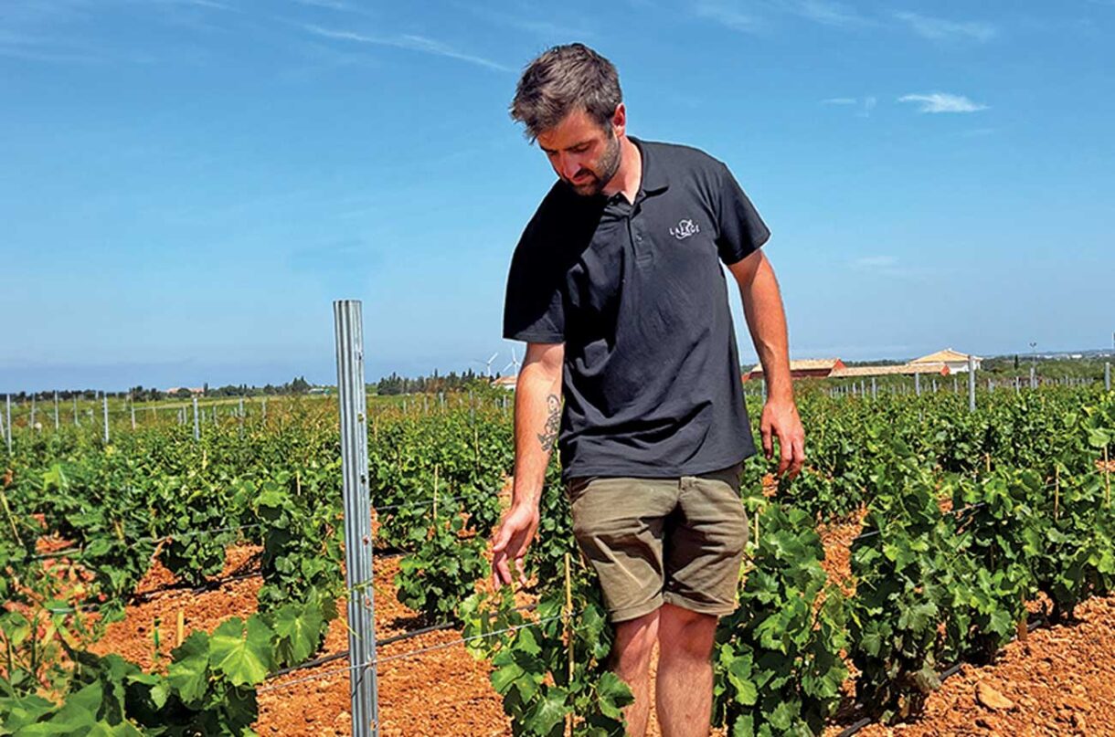 The ethical drinker: Biochar – the secret to the soils, and wines, of ...