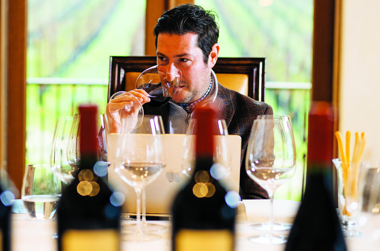 Napa Cabernet 2022: Vintage report and buyer's guide - Decanter