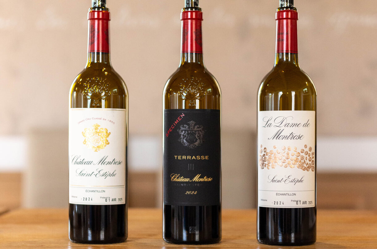 Best St-Estèphe 2024 wines tasted en primeur - Decanter