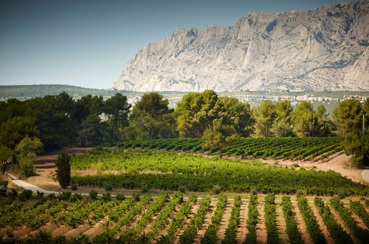 Sainte-Victoire Provence gains its first cru - Decanter