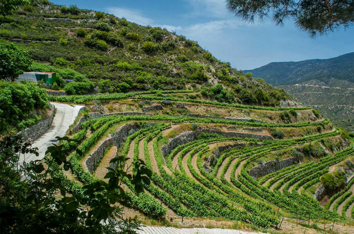 A perfect weekend in Cyprus: The Commandaria Wine Route - Decanter