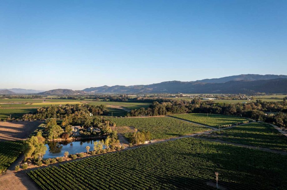 Napa Cabernet 2022: Top wines from Rutherford - Decanter