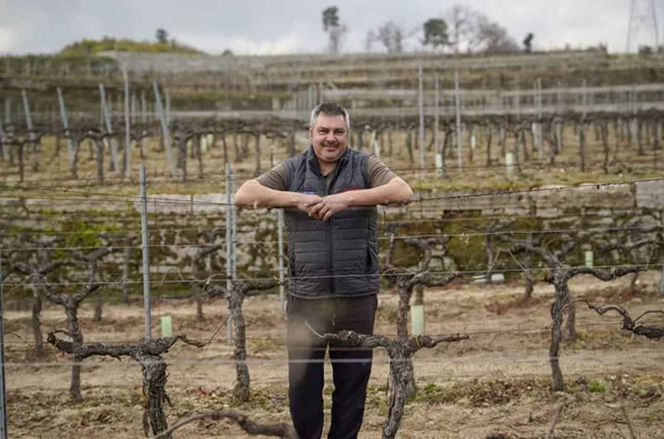 DO Ribeiro embraces native grapes and phases out foreign varieties ...