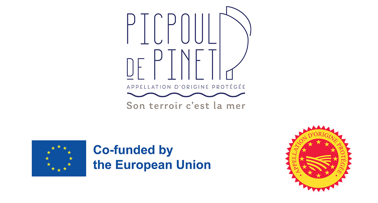 Looking ahead with patience: A new approach to AOP Picpoul de Pinet ...