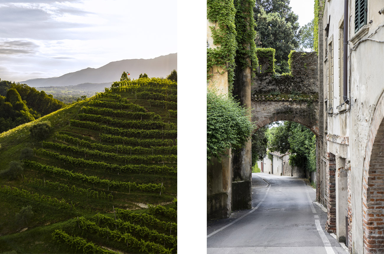 Asolo and Montello: Terroirs to watch - Decanter