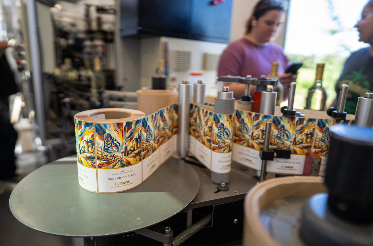 First for UC Davis as student wines released for sale - Decanter