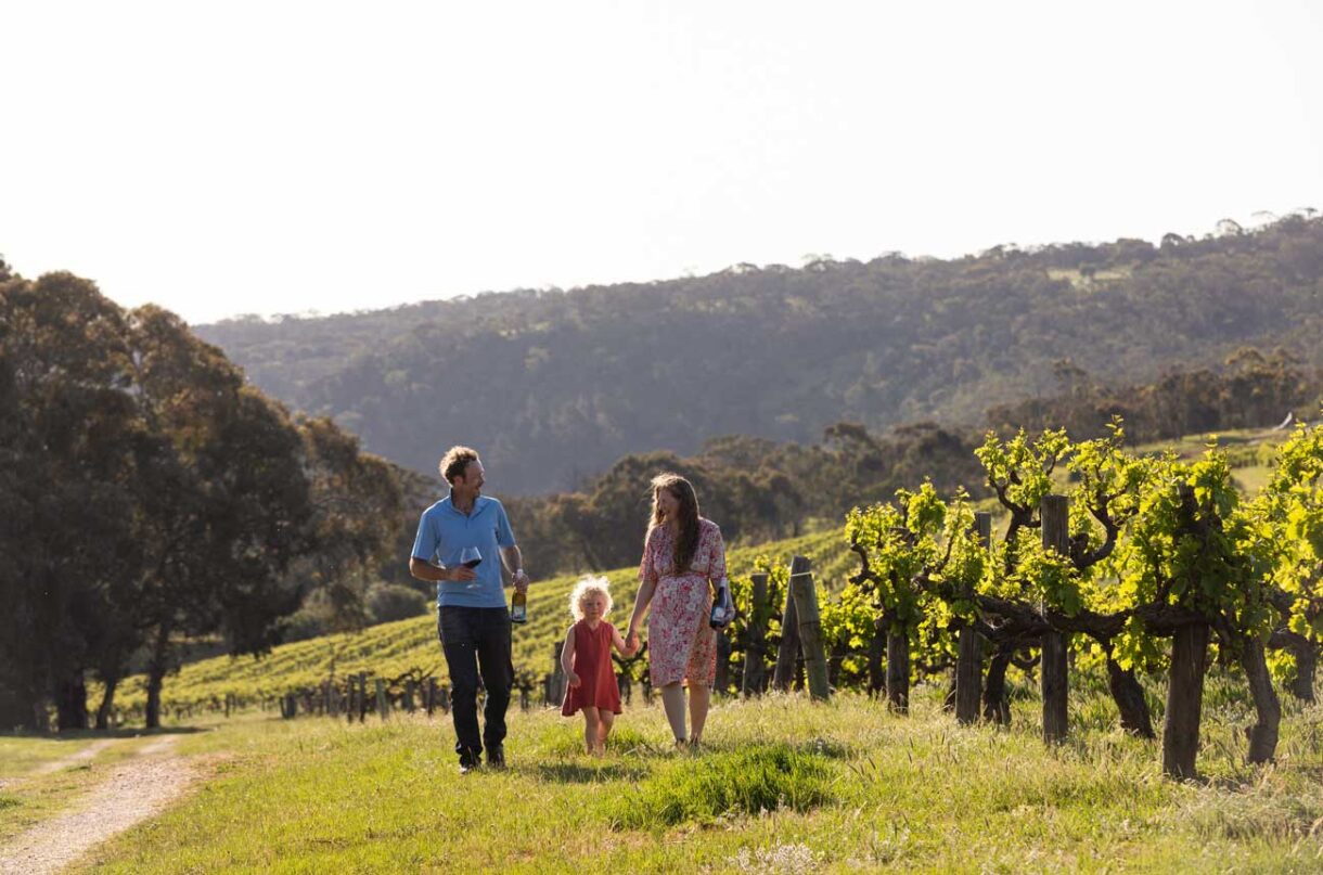 Aphelion: A complete commitment to Grenache - Decanter