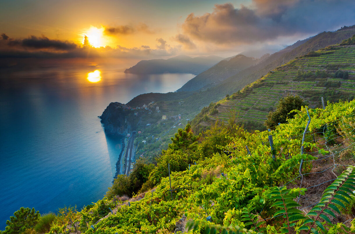 The hidden wine gems of the Italian coast - Decanter