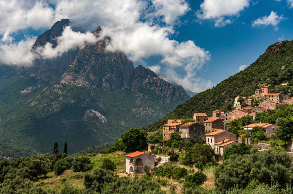 Katherine Cole: ‘If their wine-growing is an act of resistance, I want ...