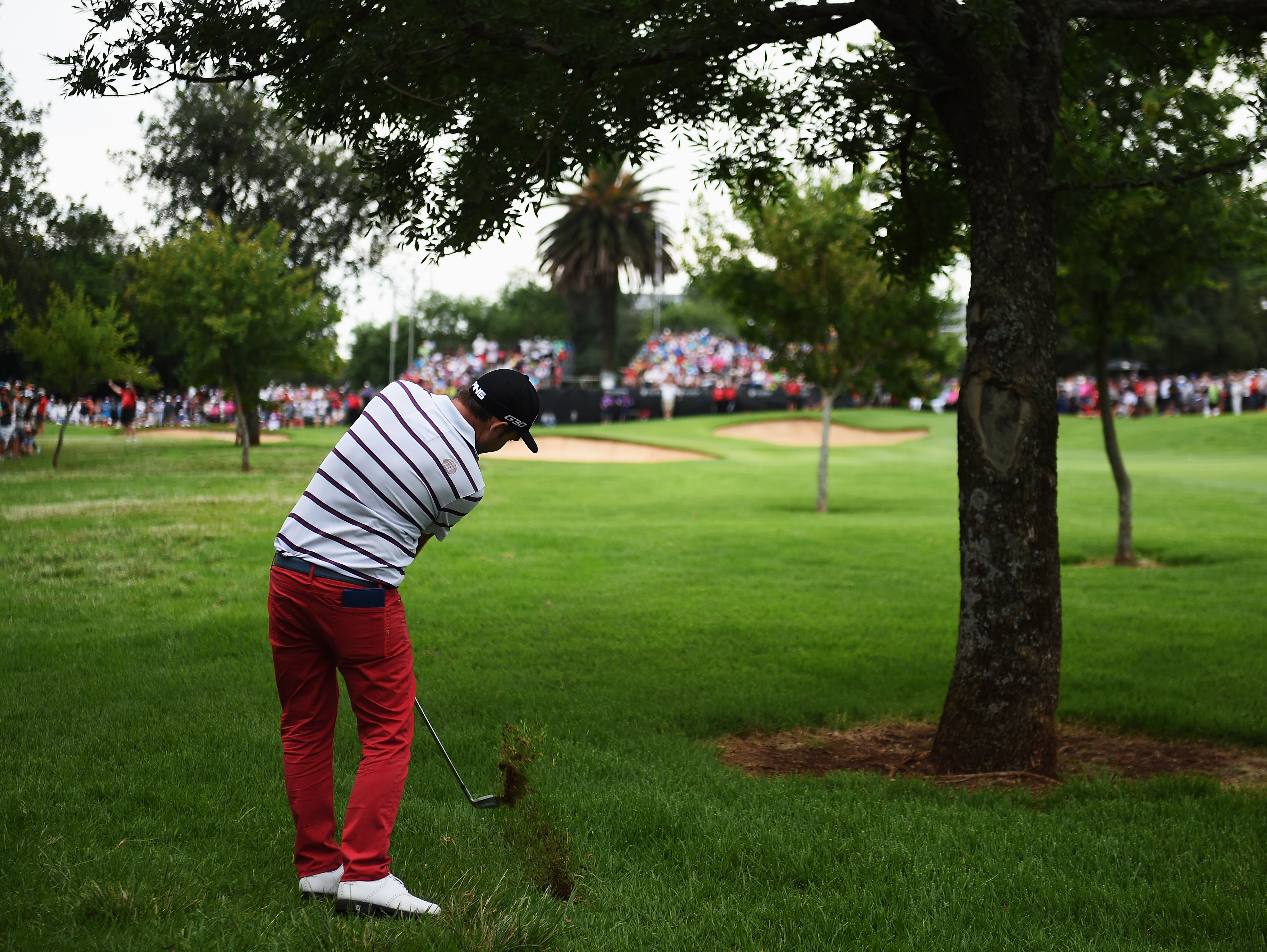 Gallery: South African Open Championship 2015 - Golf Monthly