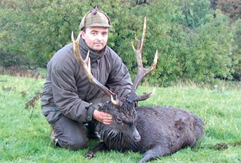 Sika Deer Trophy 6 Species To Hunt At The Kaweka Game Preserve