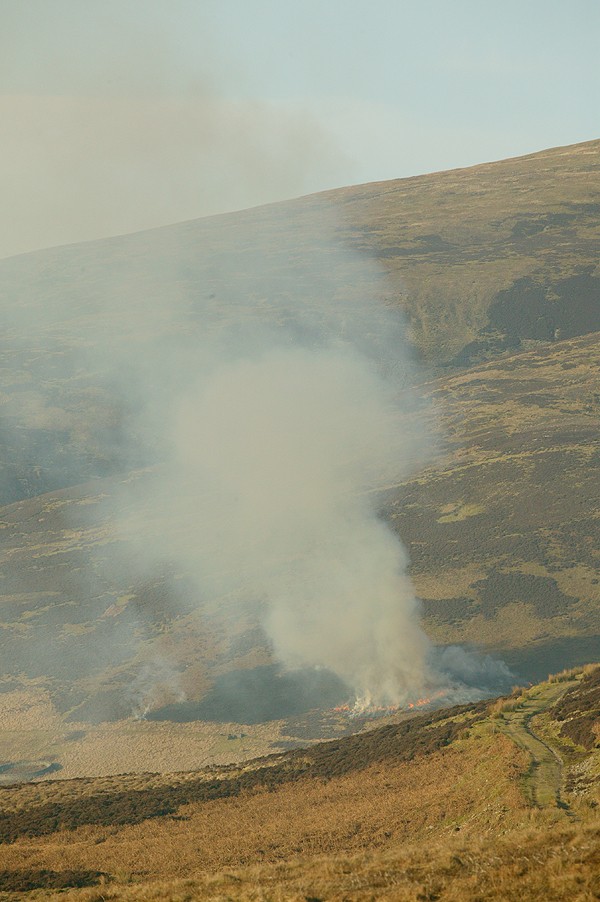 UK countryside is ravaged by wildfire - Shooting UK