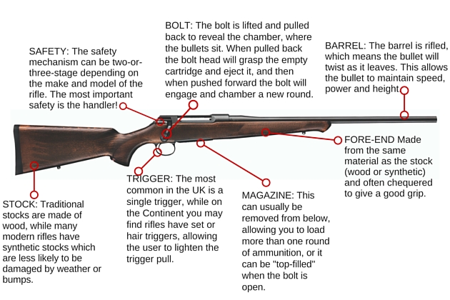Rifle safety - Shooting UK