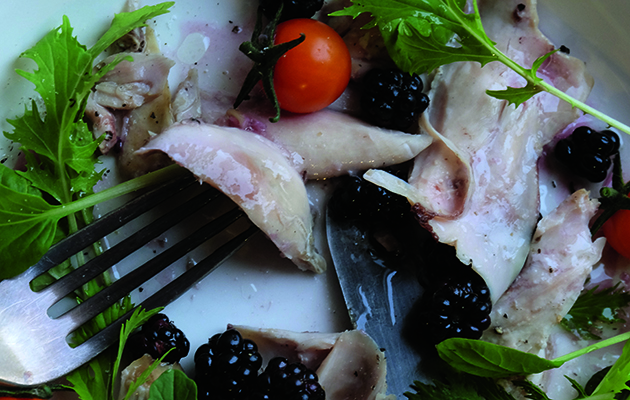 Game recipes - delicious ideas for making nutritious dishes