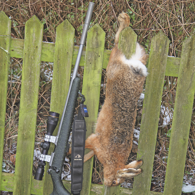 Hare recipes - Shooting UK
