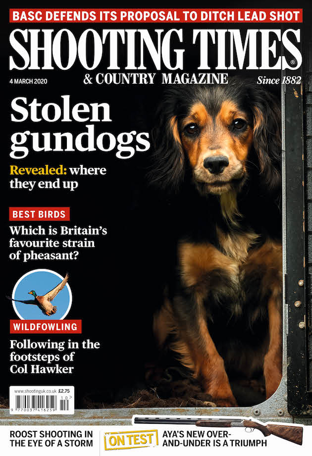 ShootingUK | The UK's most popular shooting website