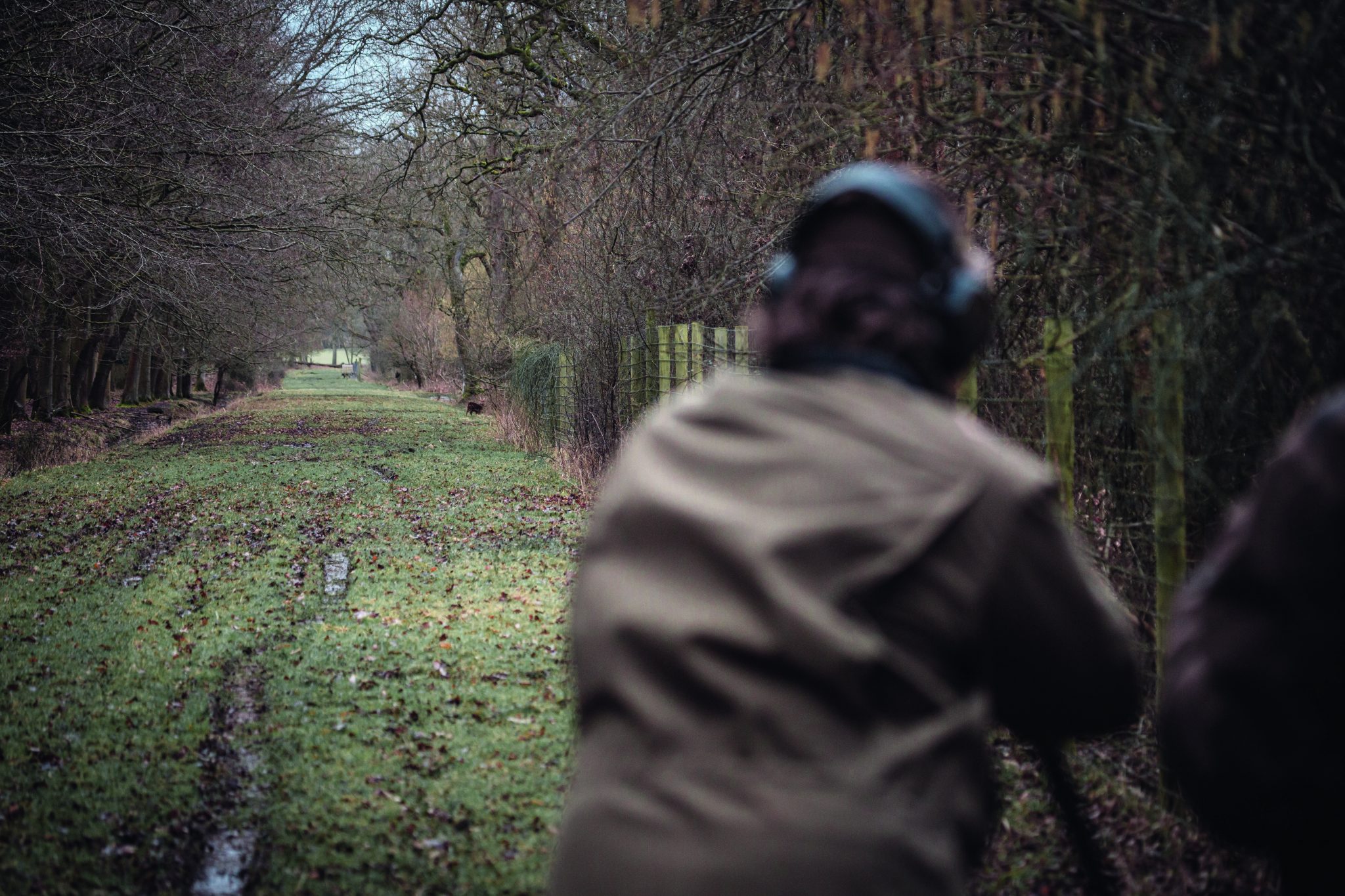 Deer stalking in the UK - where to go and the equipment you'll need