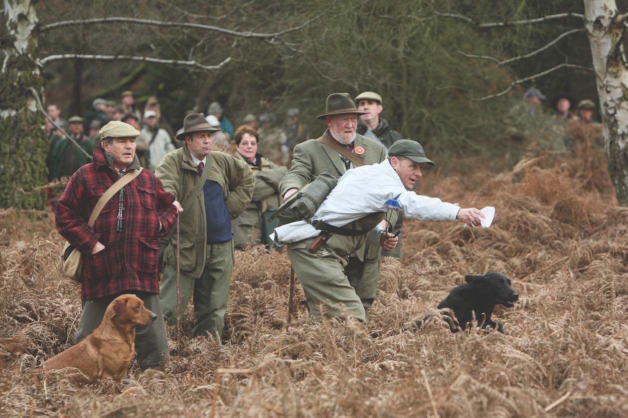 Gundogs - the history of gundogs and how the different breeds developed