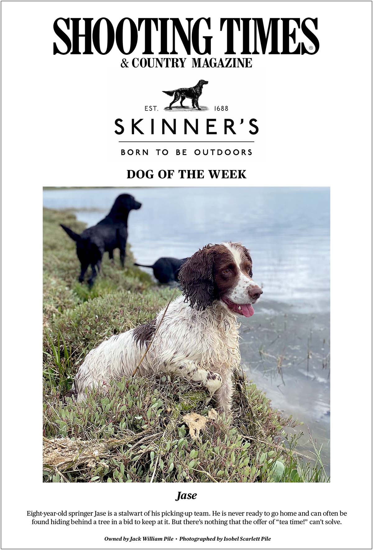 ShootingUK | The UK's most popular shooting website