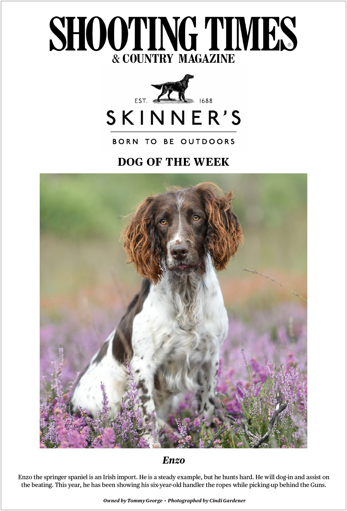 ShootingUK | The UK's most popular shooting website