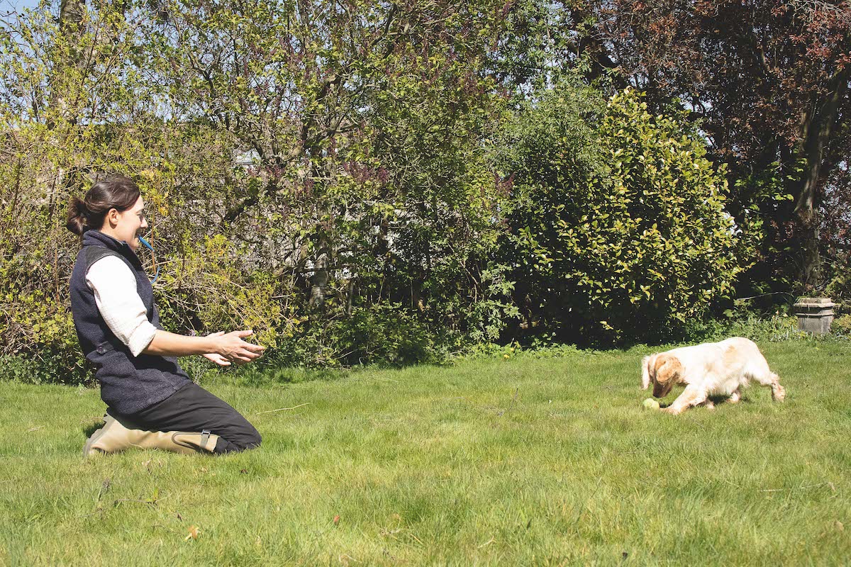 Five Basic Dog Commands Here Hunt Hup Hand It Over And Heel 