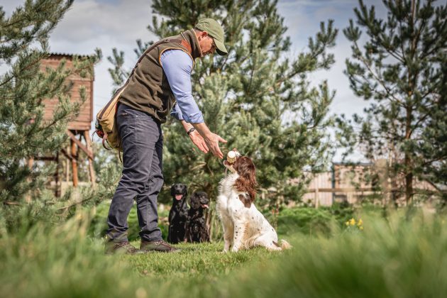 Gundogs - the history of gundogs and how the different breeds developed