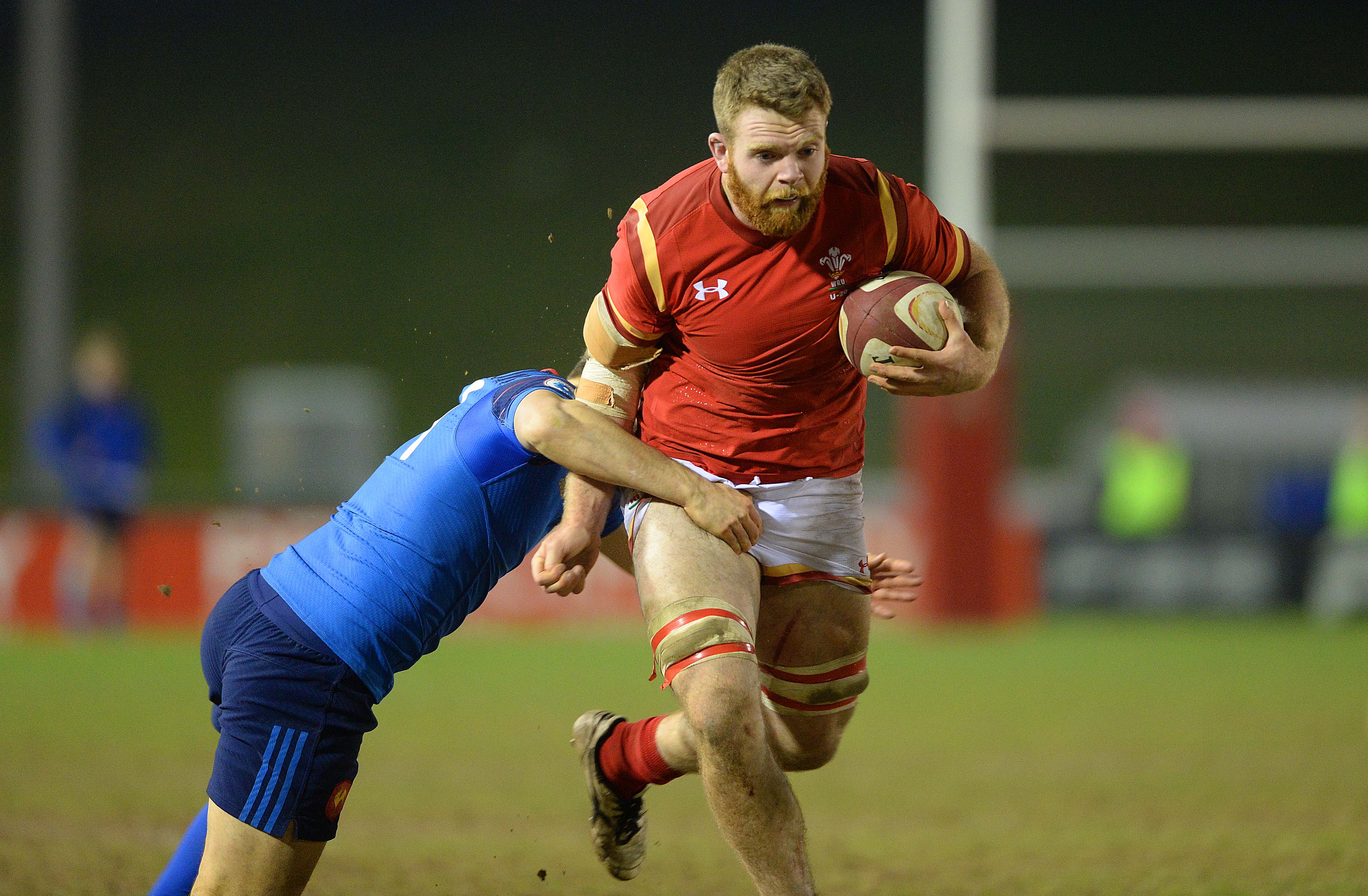 Tom Phillips (rugby player) - Alchetron, the free social encyclopedia