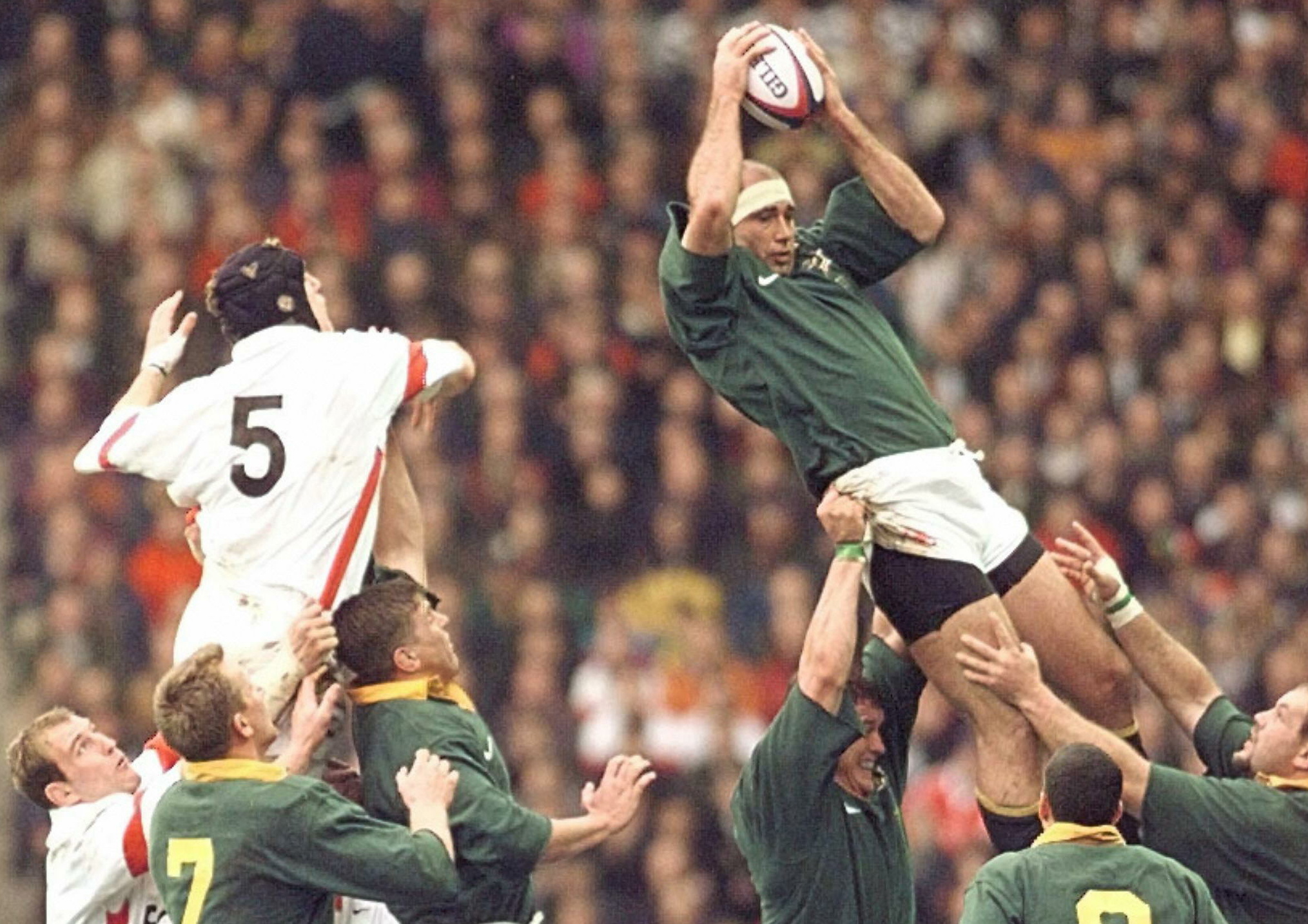 Our Blood is Green – the Springboks in their own words