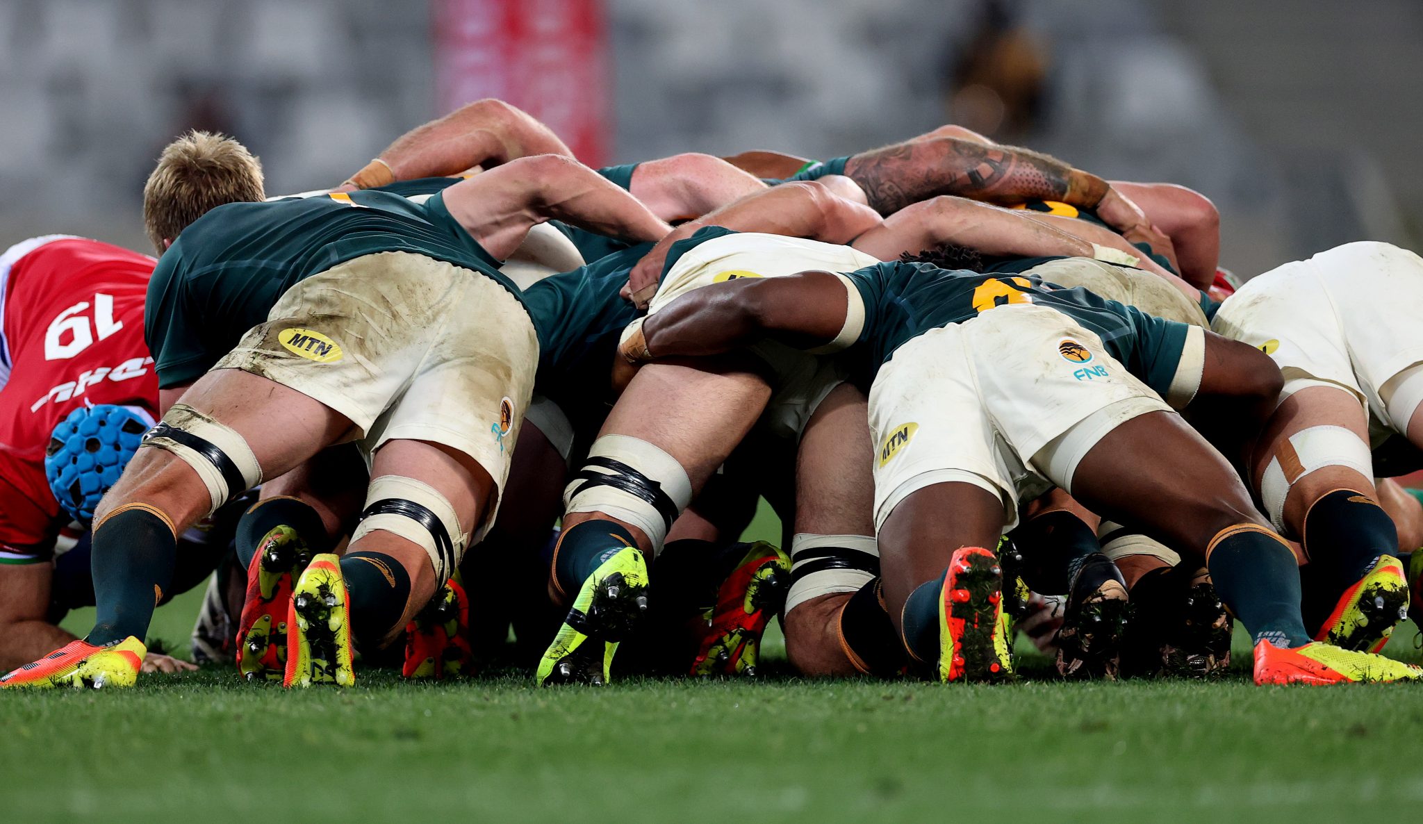 Our Blood is Green – the Springboks in their own words