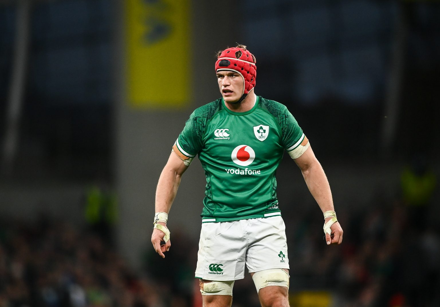 Josh van der Flier: Ten things you should know about the Ireland flanker