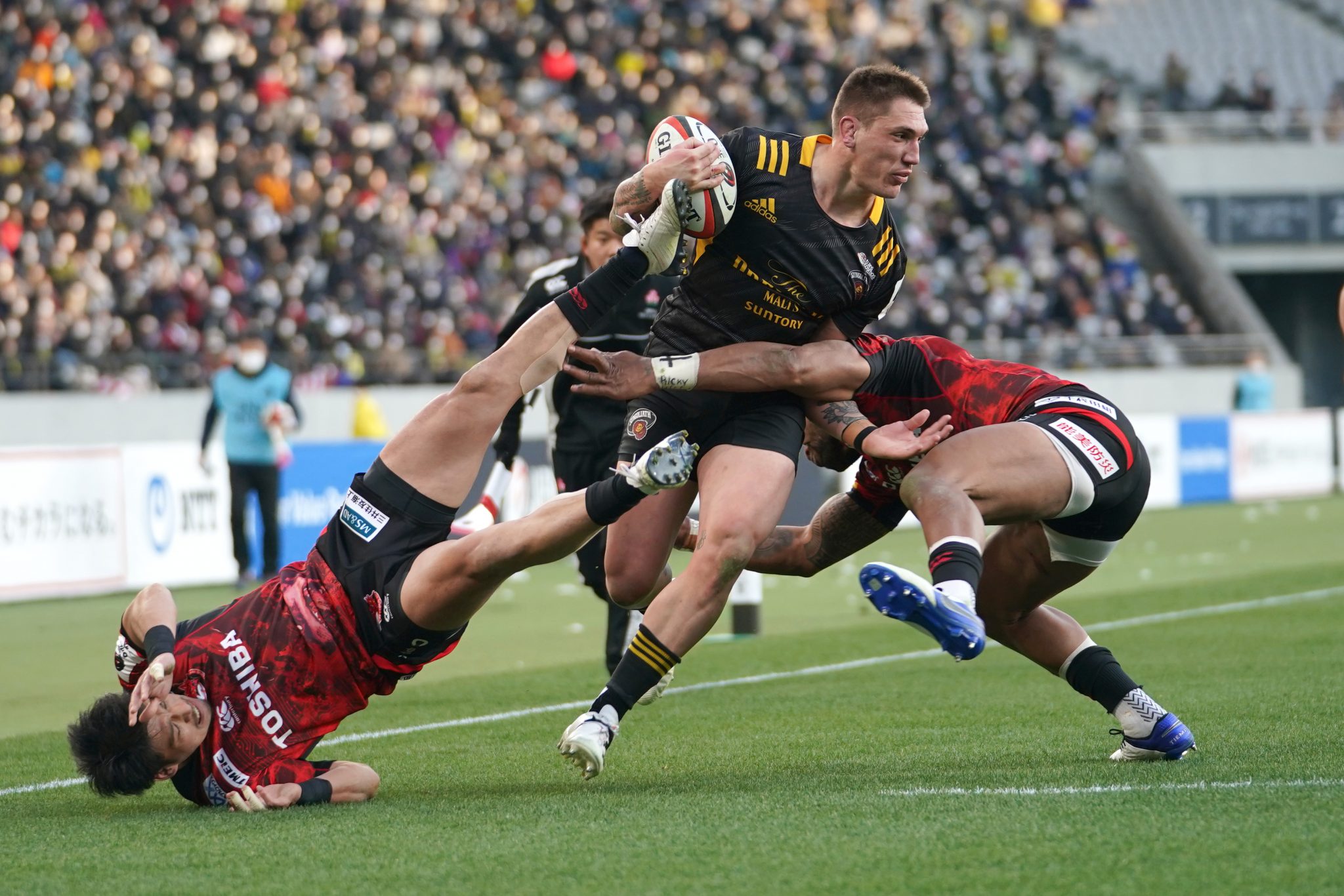 Wrestling with the future of rugby in Mongolia - Rugby World