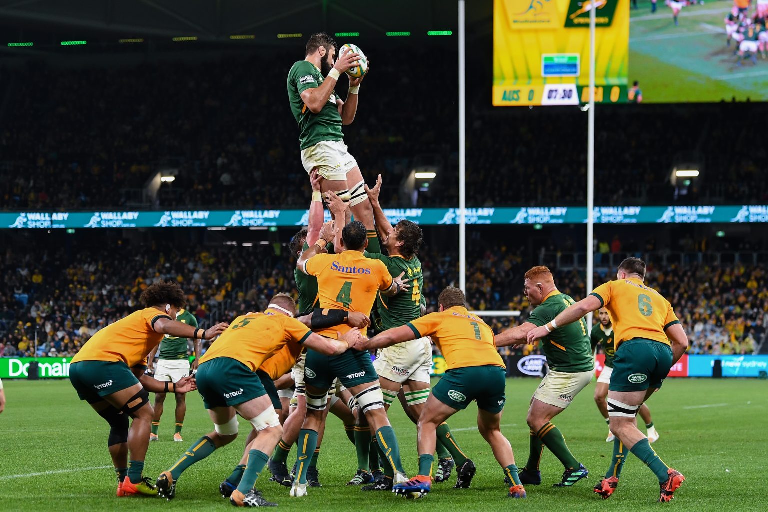 How to watch Australia v South Africa: Live stream today's Rugby Championship 2024 match from ...