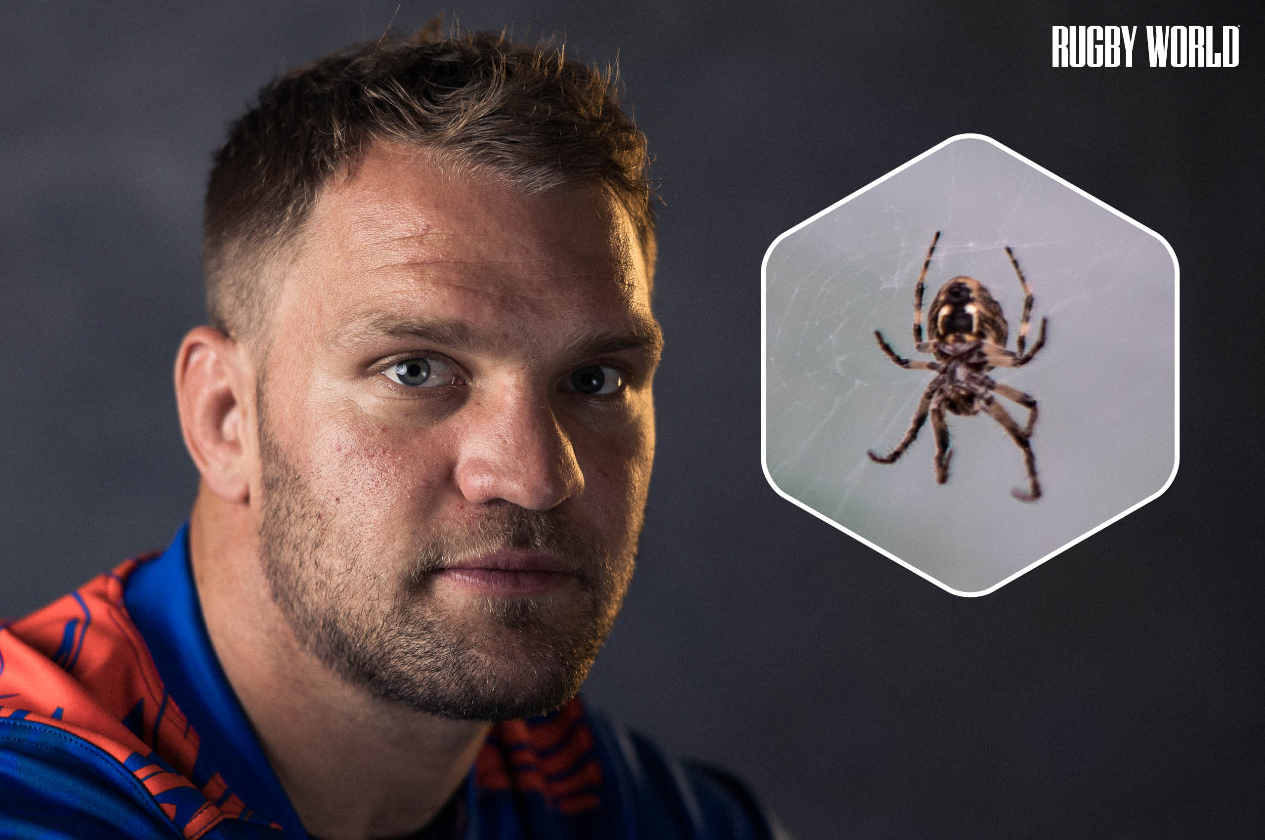 Goliath Spider Bite